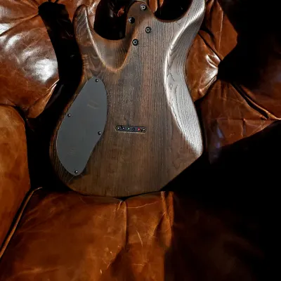 Mayones Aquila Cardinal 6 String Adam Christianson Architects | Reverb