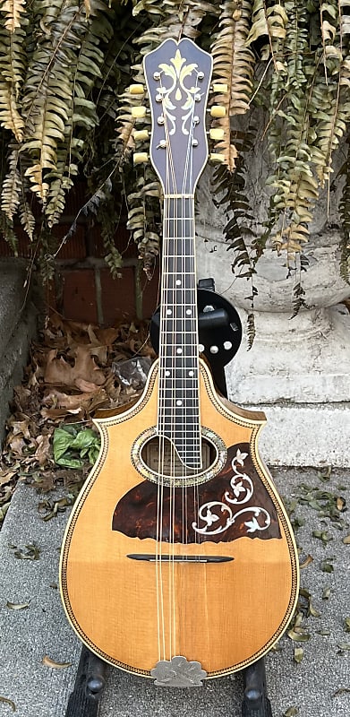1930s DeLuccia Bros Antique Double Cutaway Mandolin Exquisite | Reverb