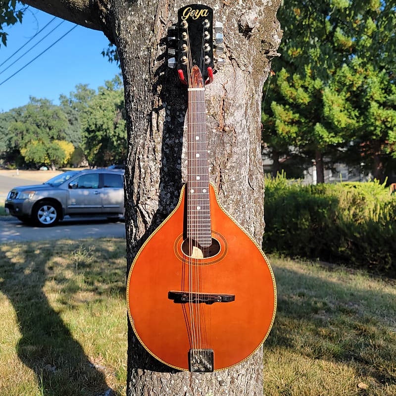 Goya GM-23 Mandolin 1990s | Reverb