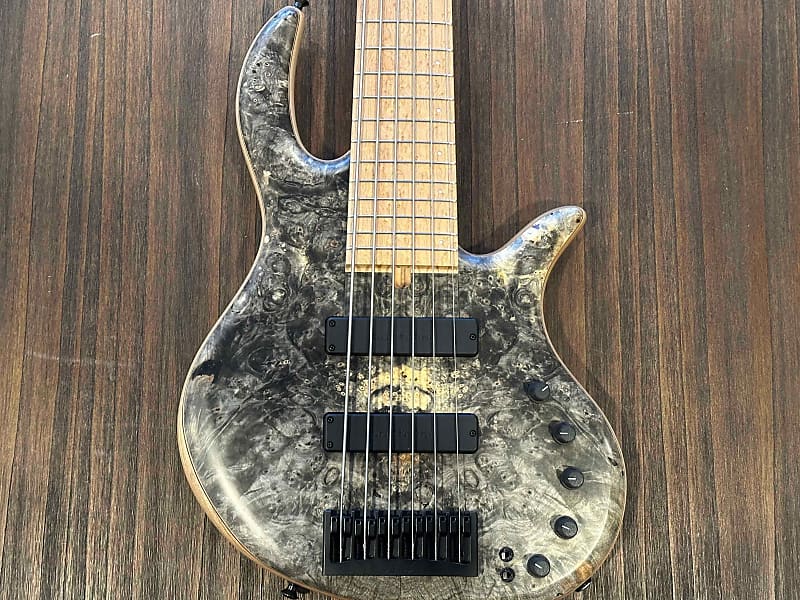 Elrick Elrick Gold Series, Hand-Carved e-volution 6-String | Reverb