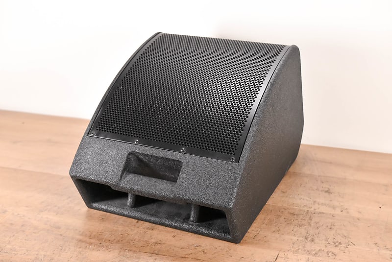 Radian APEX-1200 12" Coaxial 500W Two-Way Stage Monitor | Reverb UK