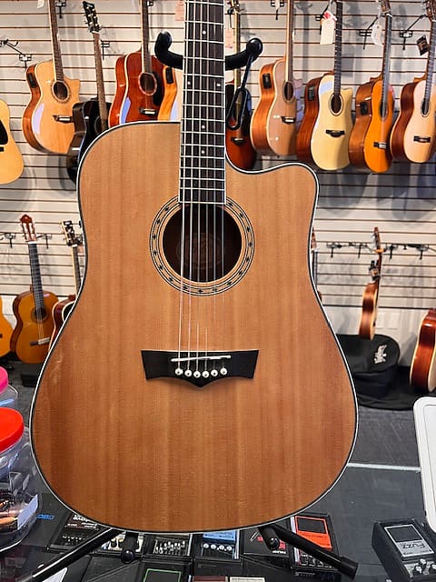 Peavey Delta Woods DW2-CE Acoustic-Electric Guitar - Natural | Reverb