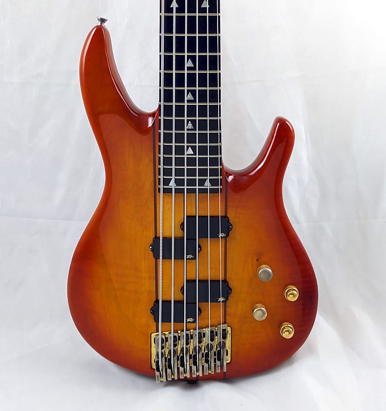 PEAVEY 1992 Vintage TL-Six (Gen 2 TL6) Tim Landers 6-String | Reverb