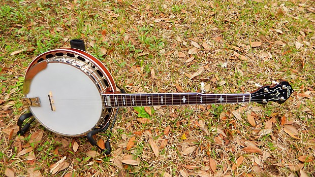 Gold Star GF-85 Banjo | Reverb