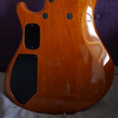 Roscoe SKB-3006 - ZEBRA TOP - Fretless 6 string bass | Reverb