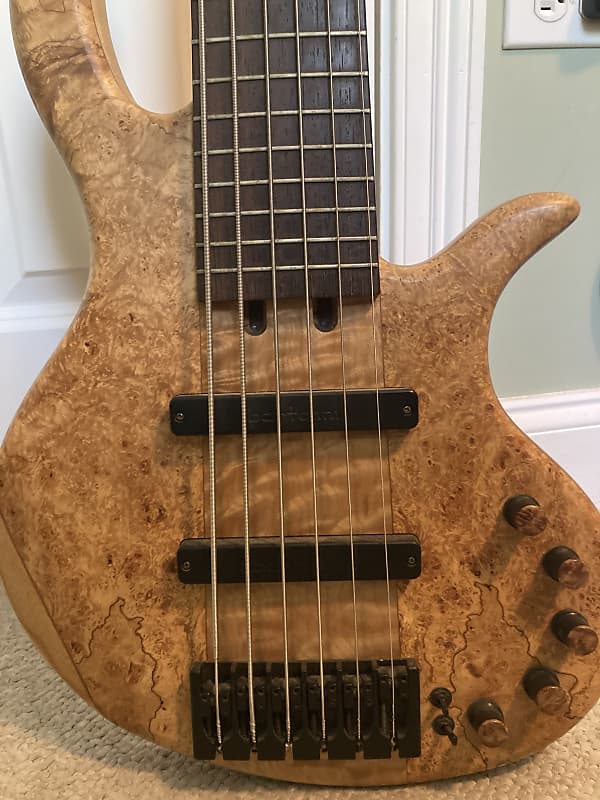 Elrick Custom Neck-Through 6 String Bass 2002 | Reverb