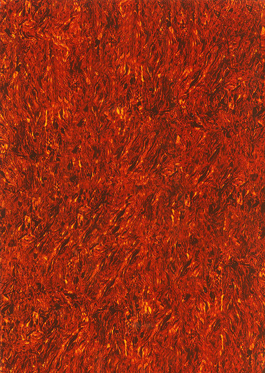 Stagg SP-PKBL-3PLYTOR 3-ply ABS pickguard, tortoise shell | Reverb