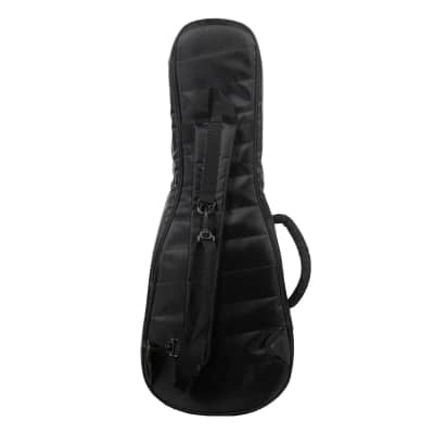 Kala KA-MNGG-T Metropolitan Series All Solid Curly Mango | Reverb