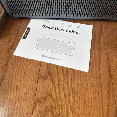 2024 Hotone Pulze - Black Eclipse | Reverb