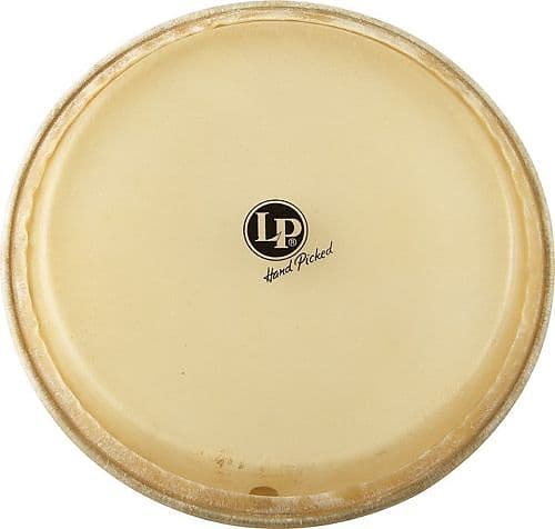 11" Rawhide Conga Head for Quinto Drum | Reverb