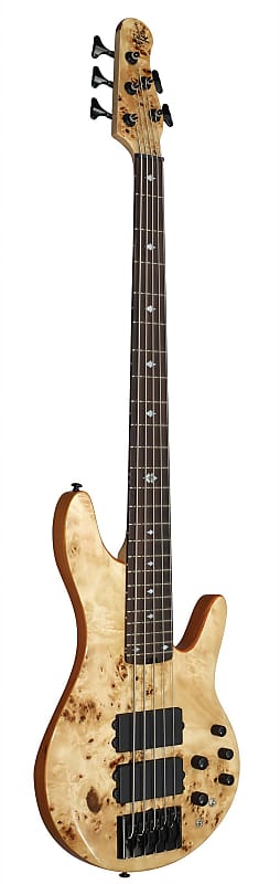 Michael Kelly Pinnacle 5-String Electric Bass Guitar – | Reverb
