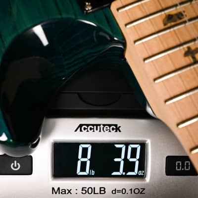 PRS SE Swamp Ash Special- Iris Blue (CTIG021671) | Reverb