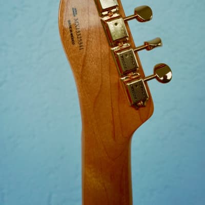 Fender Telecaster Thinline Fishman Piezo-Bridge | Reverb