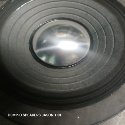8" 16 OHM SPEAKERS 2 AVAILABLE DB DRIVE G2 *READ THE | Reverb