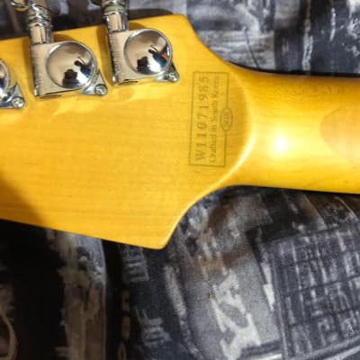 Schecter Hellcat-VI Offset with Rosewood Fretboard 2010s - | Reverb