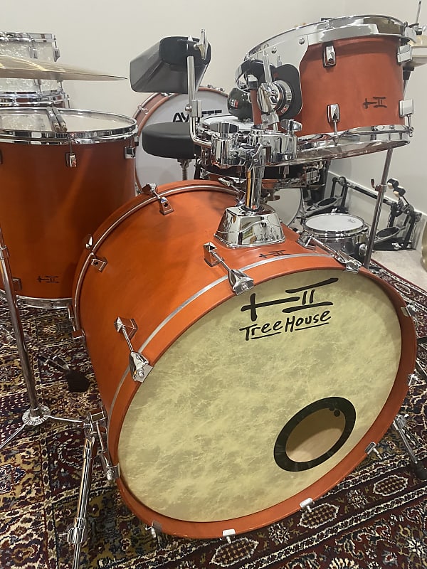 Treehouse Thin Shell Maple Pumpkin | Reverb