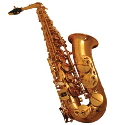 Saxo Alto Clef Wind Dakar saxofon, detalles PRO | Reverb Deutschland