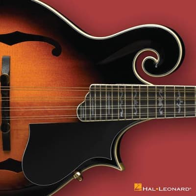 Mandolin Harmonic Suppressor by Bruce Weber | Reverb