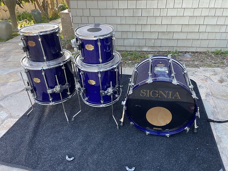 Premier Signia 5+ more | Reverb