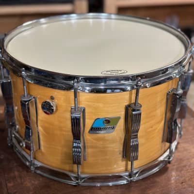 Ludwig Coliseum 1981 Thermogloss 8"x14" Snare Drum | Reverb