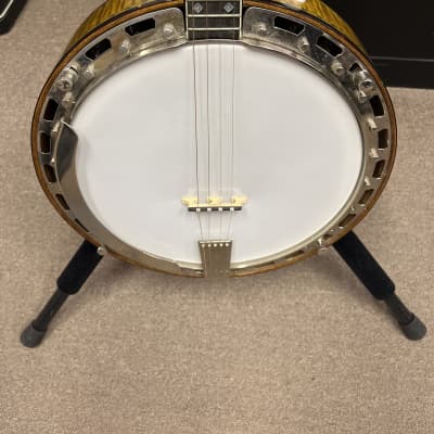 Tenor Banjo Tenor Vox Banjo 2013 | Reverb