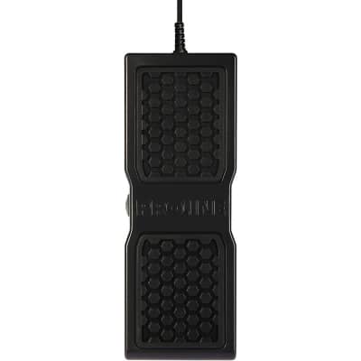 Proline PXP10 Universal Expression Pedal with Polarity Switch | Reverb