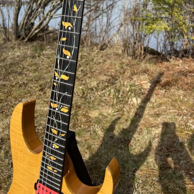 Custom RG JEM Style | Reverb