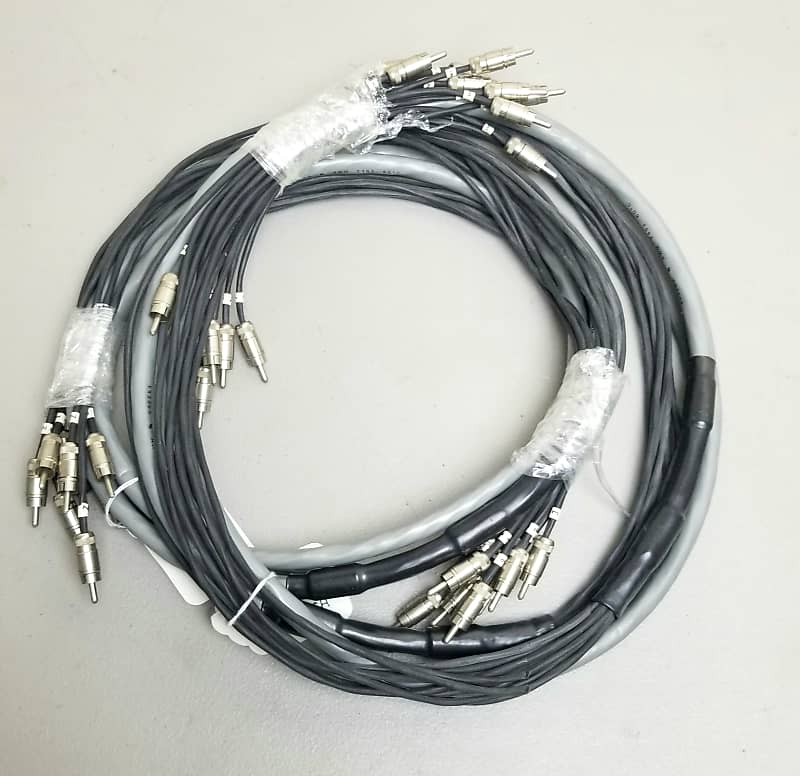 TWO Custom 10 ft 9 channel (8+1) RCA Snake Cables (18 | Reverb