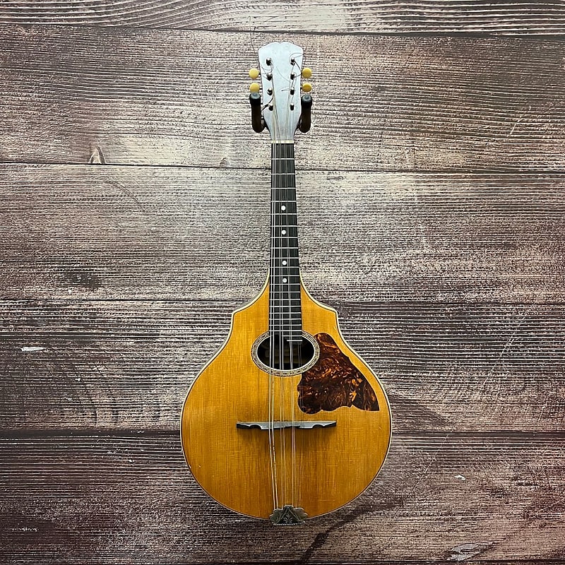 VEGA Cylinder back Mandolin (Ontario,CA) | Reverb