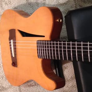 Fernandes P-Project 1998-99 AI-N Nylon Electric-Acoustic | Reverb