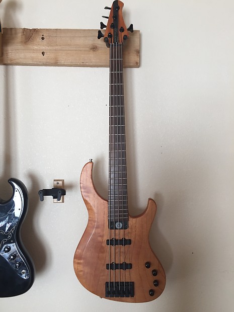 Modulus Genesis 5 Bass Guitar with Case - Bartolini pickups | Reverb