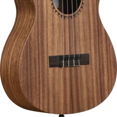 10 String Puerto Rican Cuatro Guitar, W/3 Band EQ | Reverb