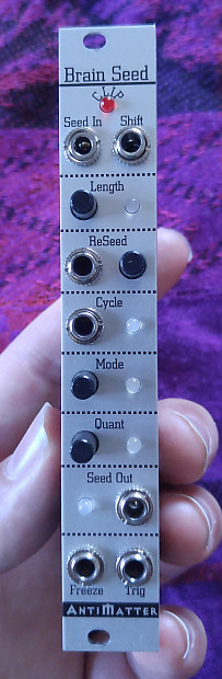 Antimatter Audio Brainseed Eurorack CV recorder | Reverb