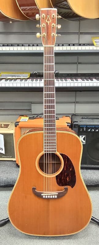 Daion Mugen Mark V Acoustic Guitar | Reverb