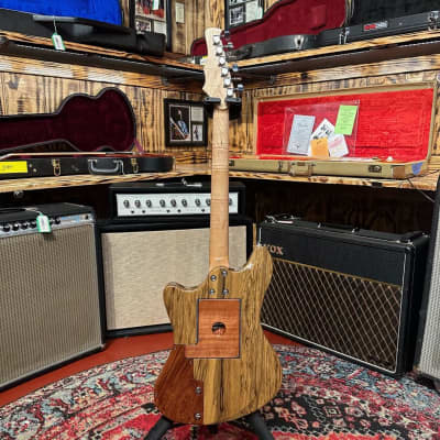 Reddick Voyager Modular Guitar - Includes Hardshell Case | Reverb