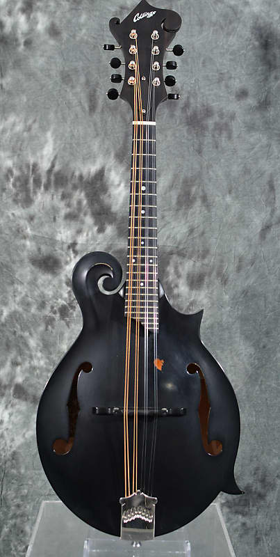 Collings MF Mandolin 2019 Custom Satin Ebony Black w | Reverb