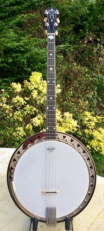 Vega Vegaphone Professional Tenor Banjo | Reverb