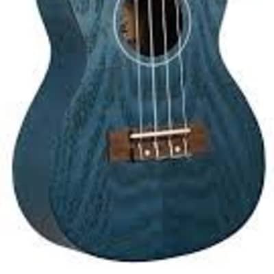 Eddy Finn Uke EF-ASH-BL | Reverb