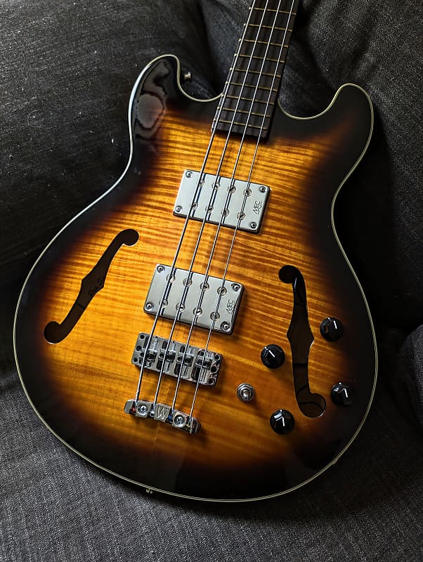 Warwick Pro Series Star Bass 2011 - 34" full scale - Pickup | Reverb