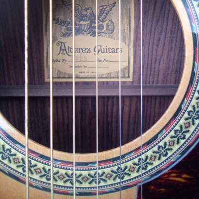 Alvarez 5014 1970's Japan - Natural | Reverb