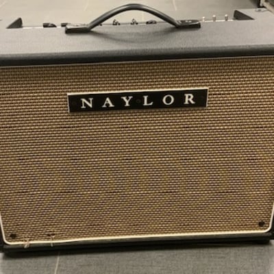 Naylor Electra-Verb 38 (EV38) 1996 - Green | Reverb