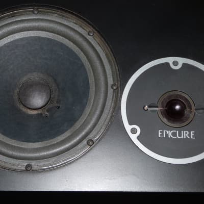 Epicure model 20 | Reverb