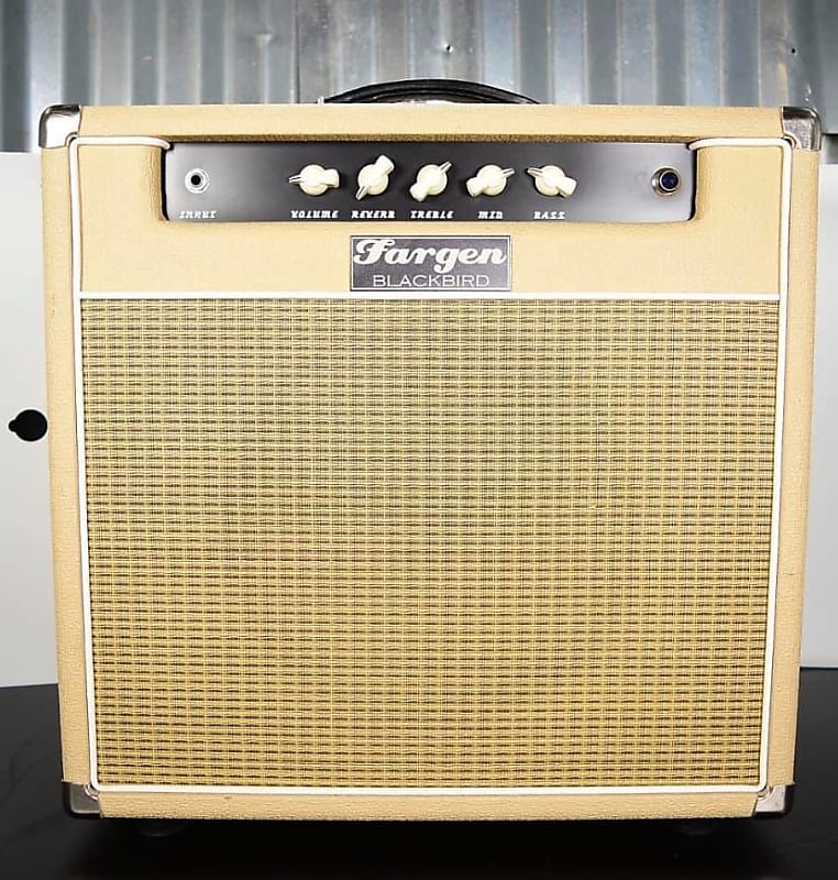 Fargen BlackBird 30 1x12 combo amp 2006 | Reverb