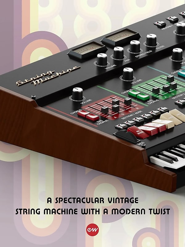 STRING MACHINE (Download) Back to the Retro Future | Reverb UK