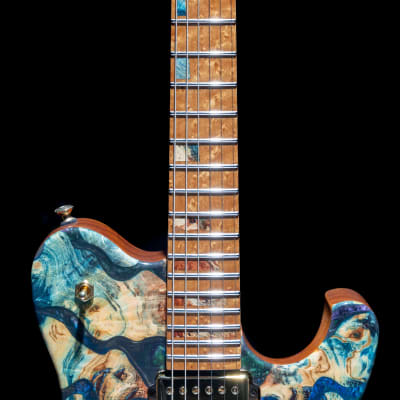Warmoth Burl Fusion Series Meadowhawk - hamburg | custom | Reverb