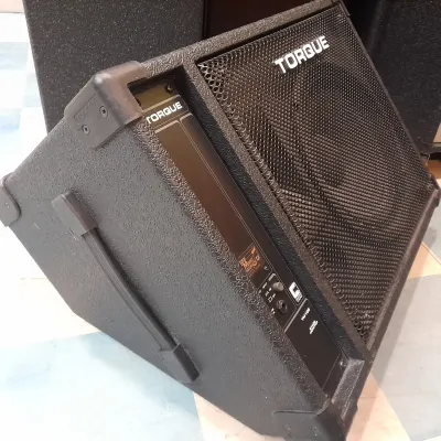 Torque TM -100 Stage Monitor | Reverb