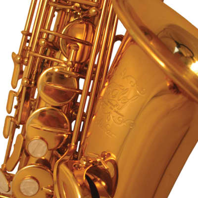 Saxo Alto Clef Wind Dakar saxofon, detalles PRO | Reverb Deutschland