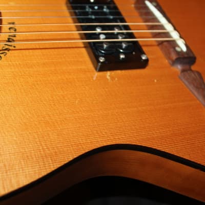 Rick Turner Renaissance Deuce 2007 | Reverb