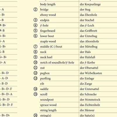 Double Bass Fingerboard Chart and Cheat Sheet (folded, 6 | Reverb