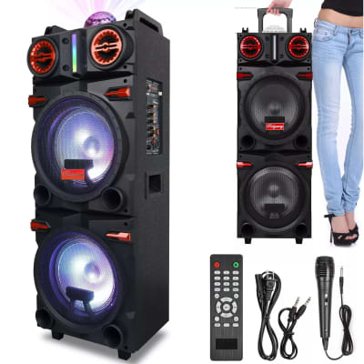 Fishman SA330X PA with Subwoofer, Mixer | Reverb Fishman SA330X PA with Subwoofer, Mixer | Reverb